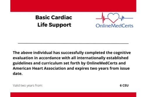 BLS vs. BCLS Certification: Basic Life Support and First Aid - Willnice