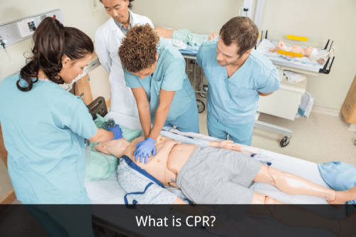 CPR & Pulse Checks: Carotid Pulse Guide in Cardiac Arrest - Willnice